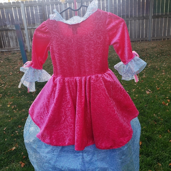 Princess Paradise | Costumes | Princess Paradise Pink Blue Princess ...